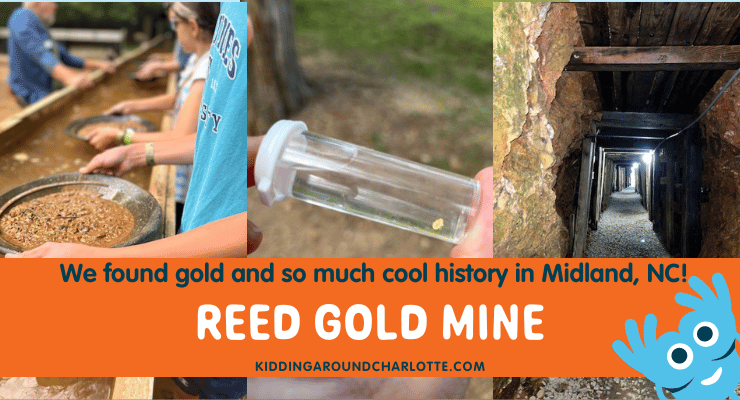 Will You Find Gold at Reed Gold Mine in Midlands, NC?