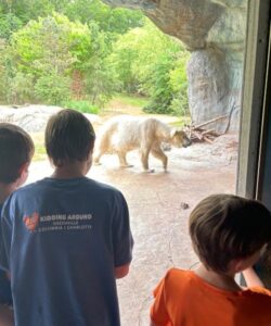 Explore the NC Zoo: A Family Guide With Visitor Tips