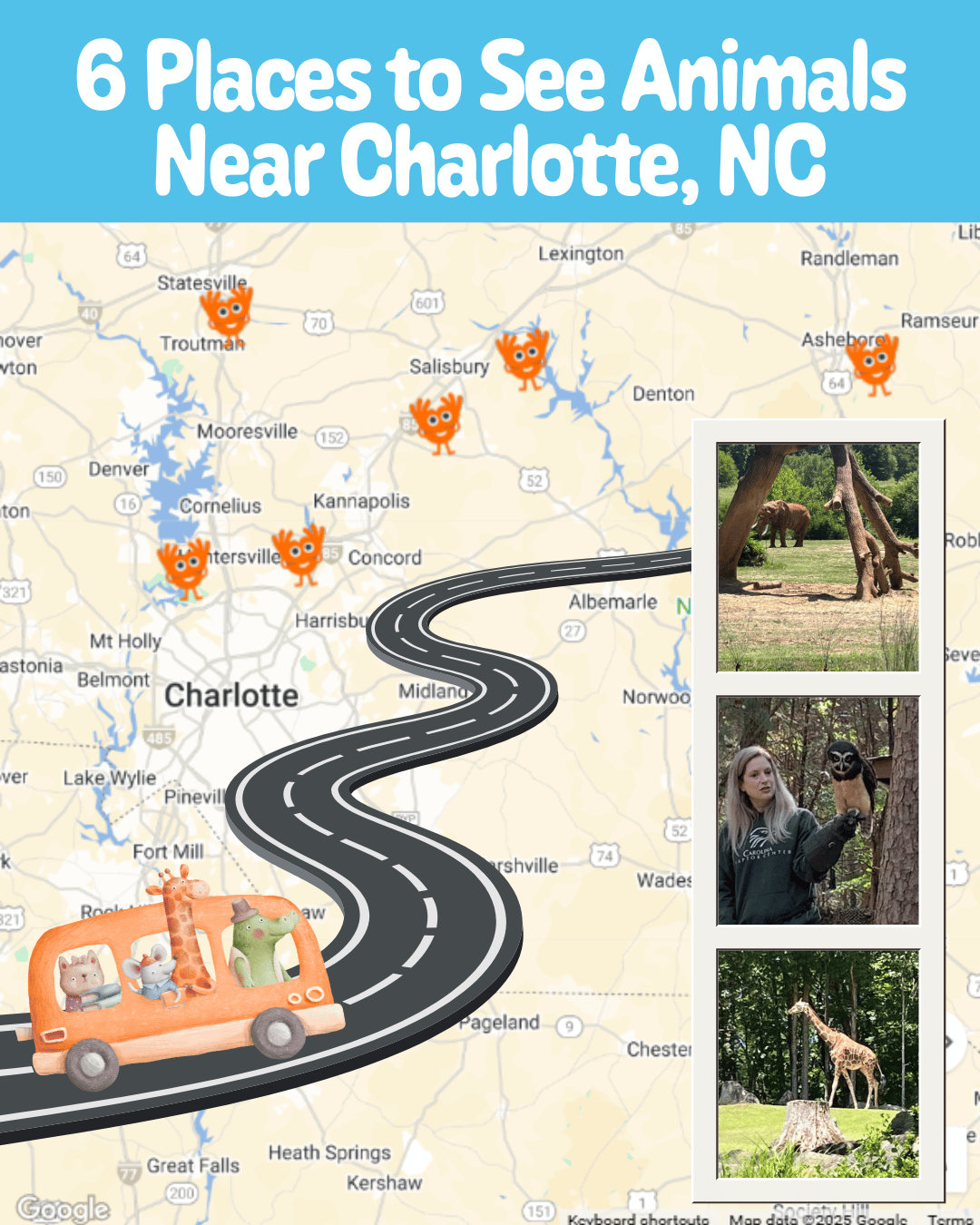 5+ Places To See Animals Near Charlotte, NC