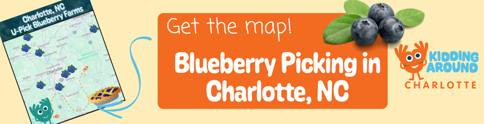 Bilingual Preschools in Charlotte North Carolina