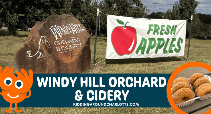 Windy Hill Orchard & Cidery: A Sweet Fall Day Trip to York, SC